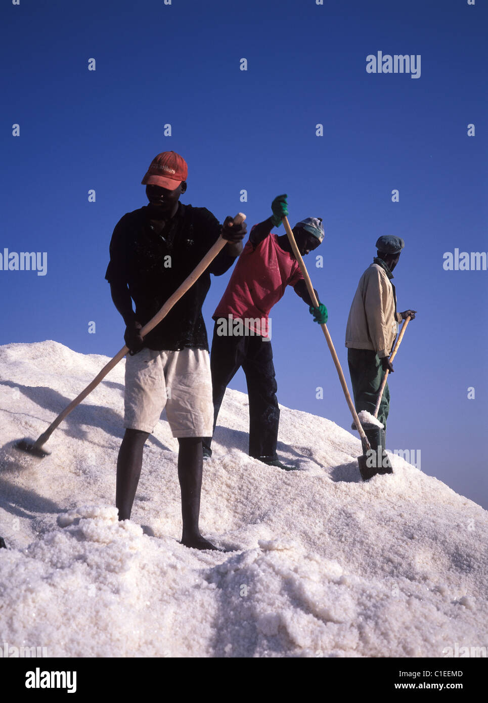 Senegal, Sine Saloum area, salt marshes of Kaolack city Stock Photo - Alamy