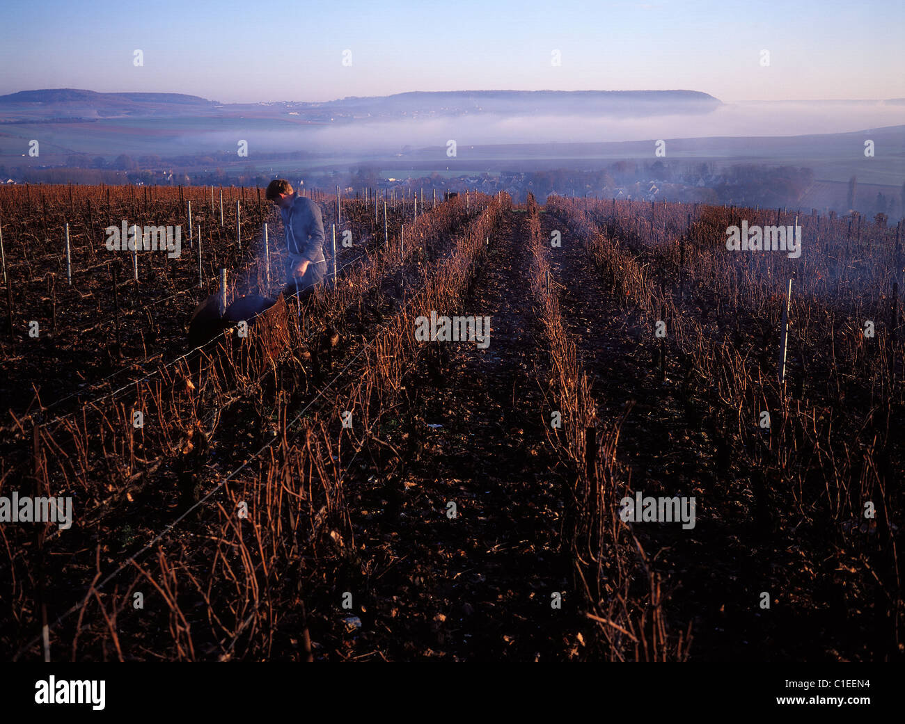 Moussy france hi-res stock photography and images - Alamy