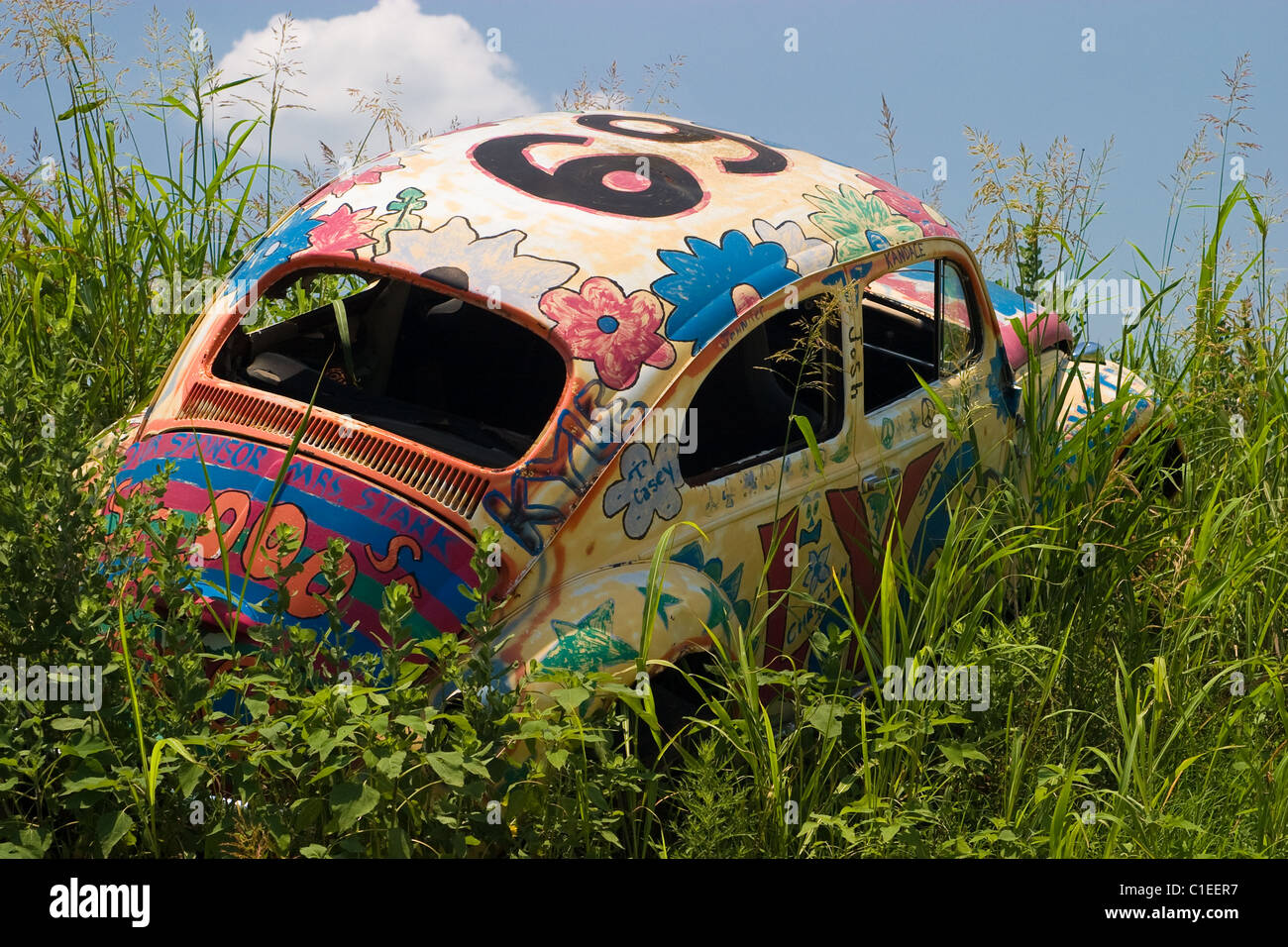 Paint Job For Volkswagen Beetle at Laura Black blog