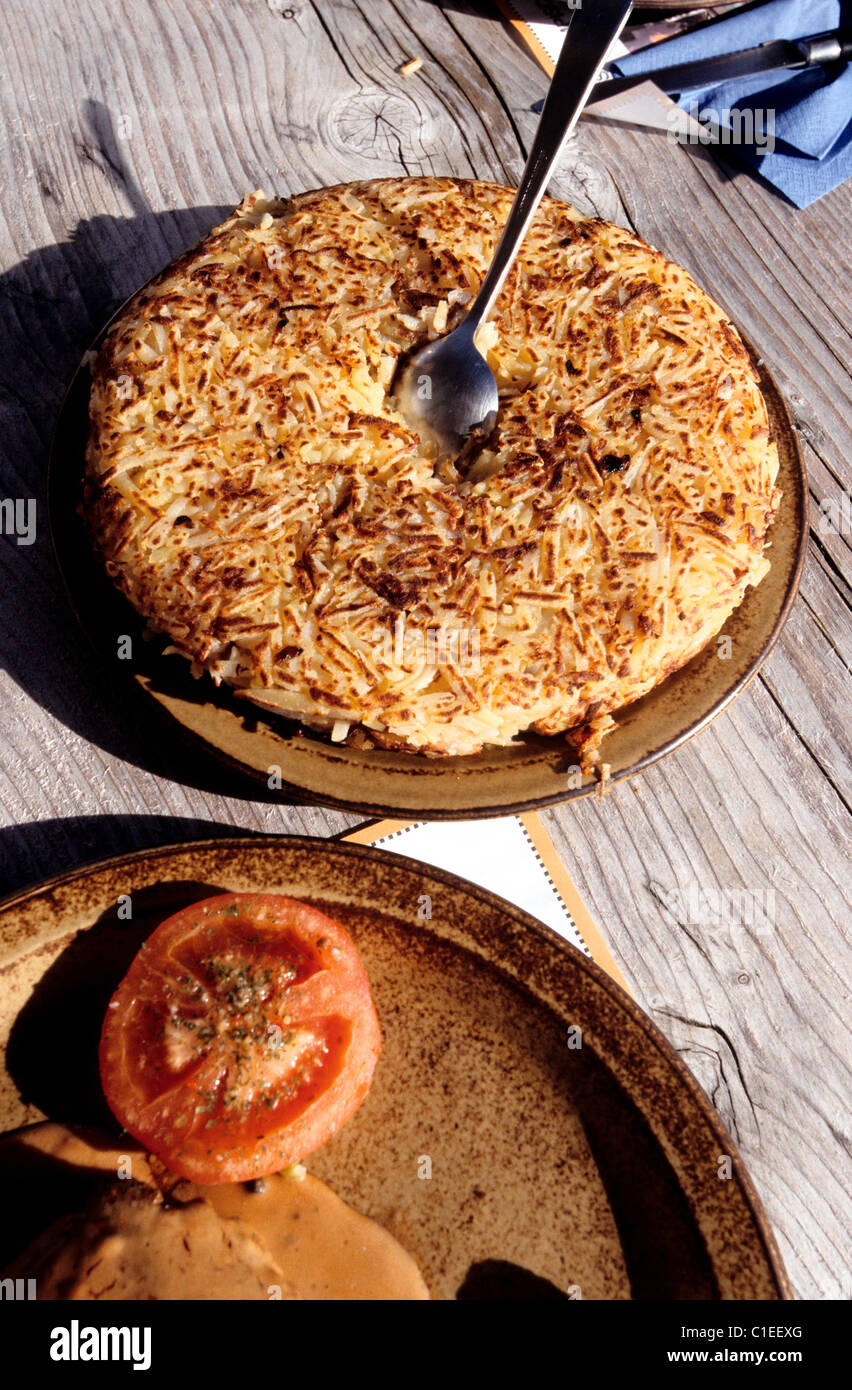 Switzerland, Jura, crossing of Jura Mountain in dog-slide, Tenanted of ...