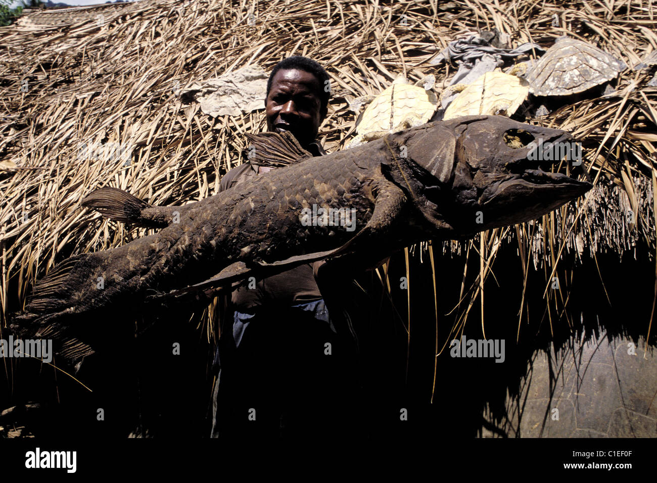 Comoros fish hi-res stock photography and images - Alamy