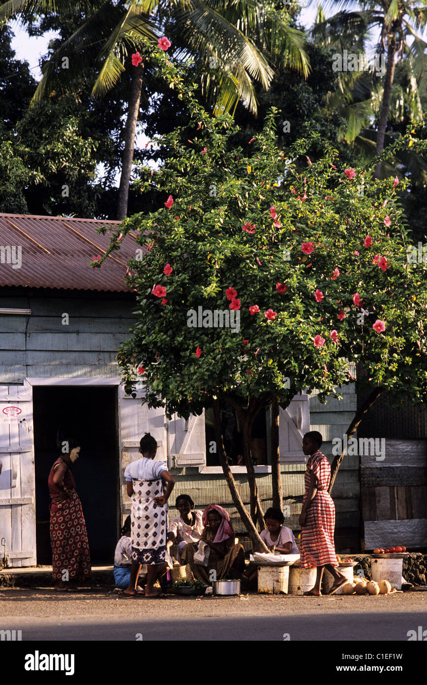 Republic of Comoros, Great Comoro, City of Moroni, small market Stock ...