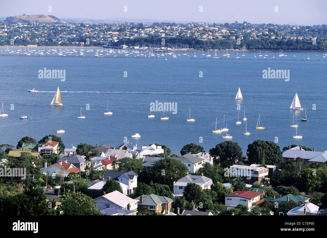 New Zealand, North Island, the Auckland bay Stock Photo - Alamy