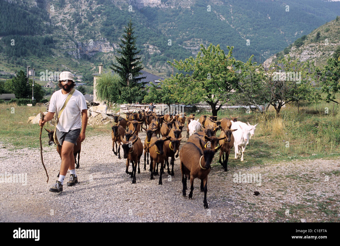 France, Lozere, gorges of the Tarn, Blajoux Stock Photo - Alamy