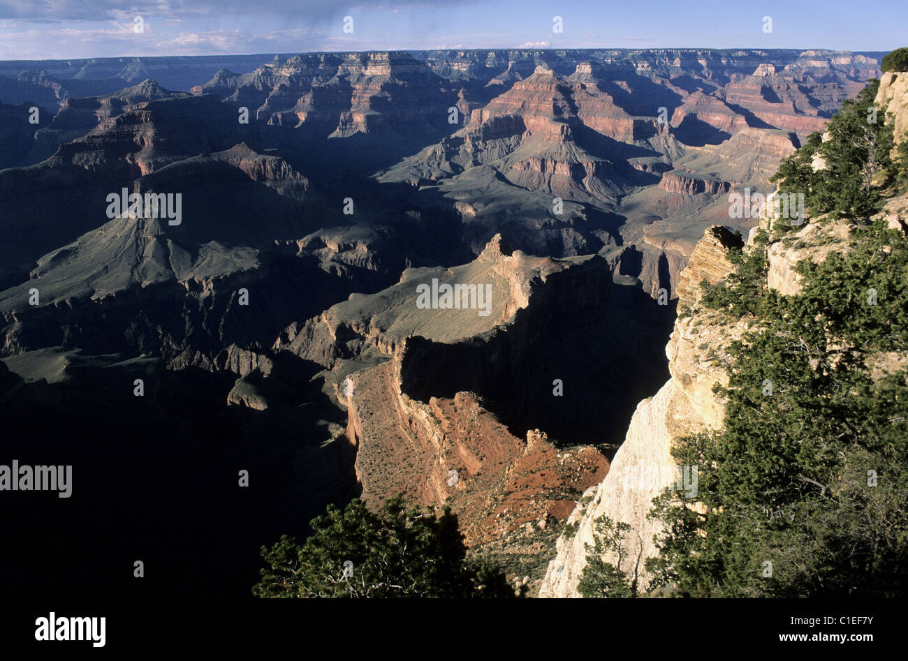 United States, Arizona, the Grand Canyon, West rim drive Stock Photo ...