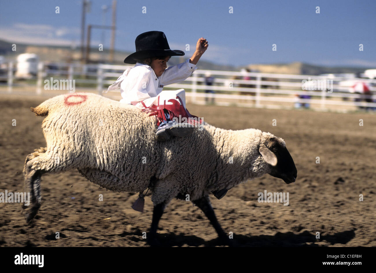Childrens rodeo hi-res stock photography and images - Alamy