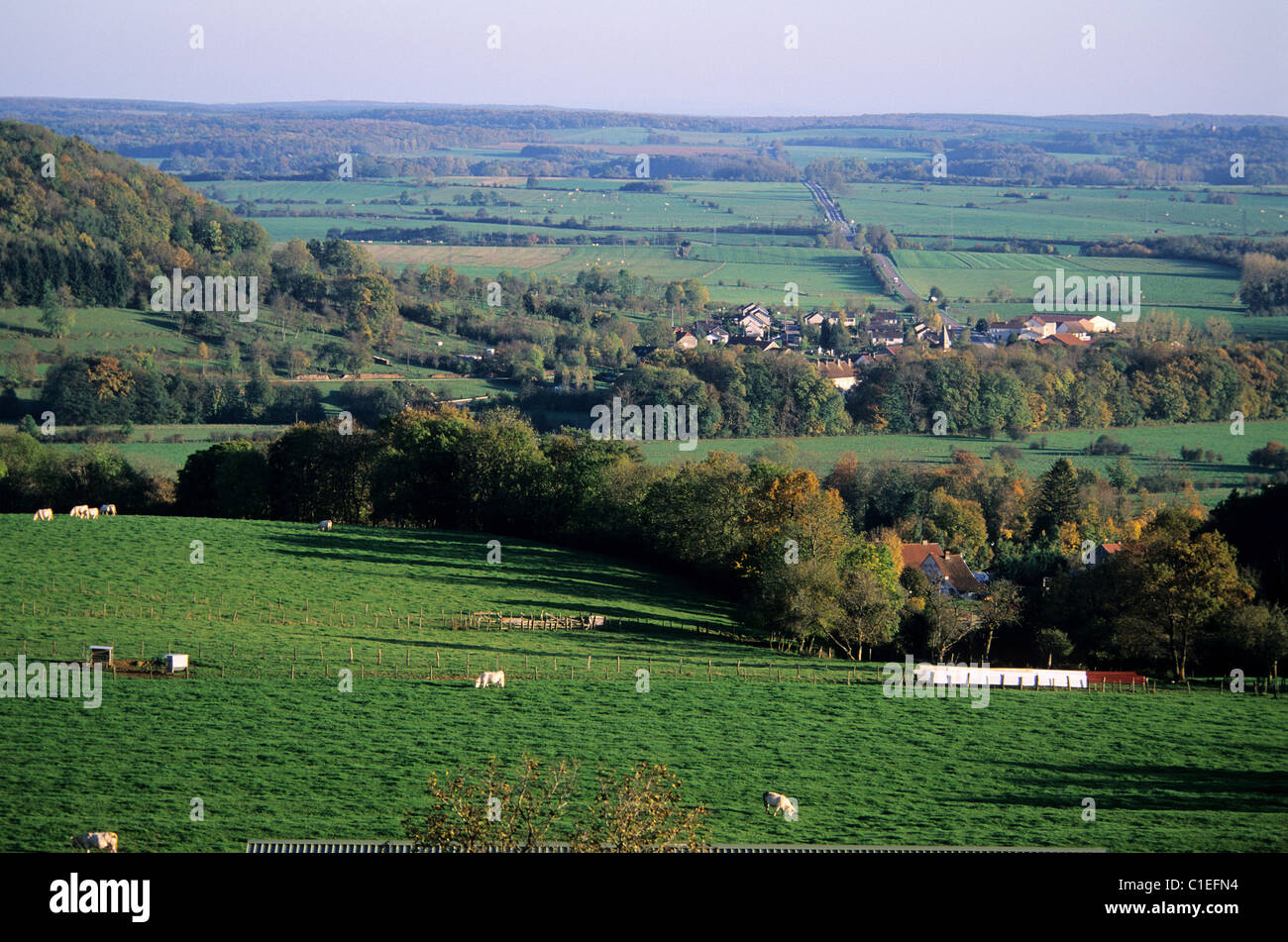 France, Haute Marne, typical local countryside Stock Photo - Alamy