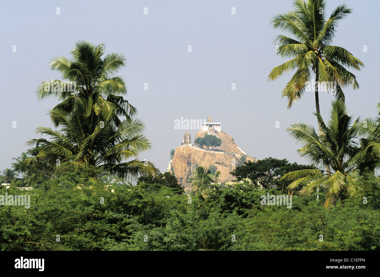 India, Tamil Nadu state, Tiruchirappalli (Trichy), the temple at the ...