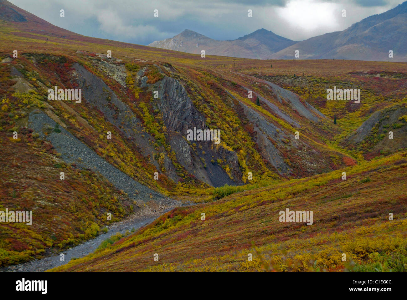 Arctic Fall Colours Stock Photo - Alamy