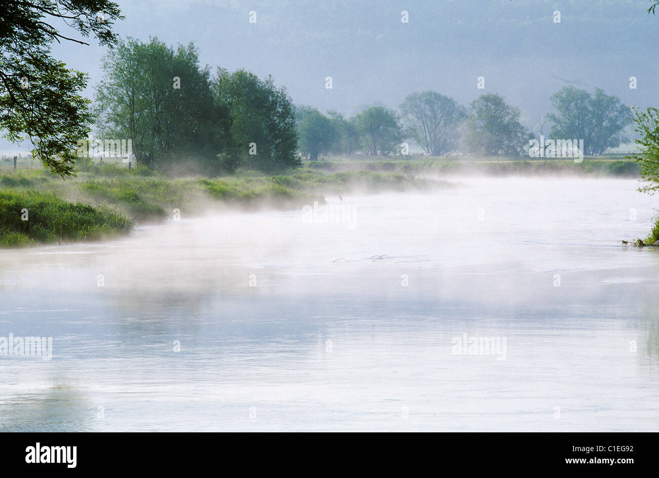 France, Meuse, Dieue sur Meuse, edges of the Meuse at daybreak Stock ...