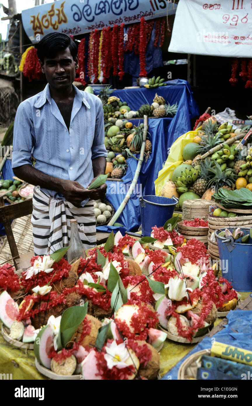 Sri Lanka, Ceylan Stock Photo - Alamy