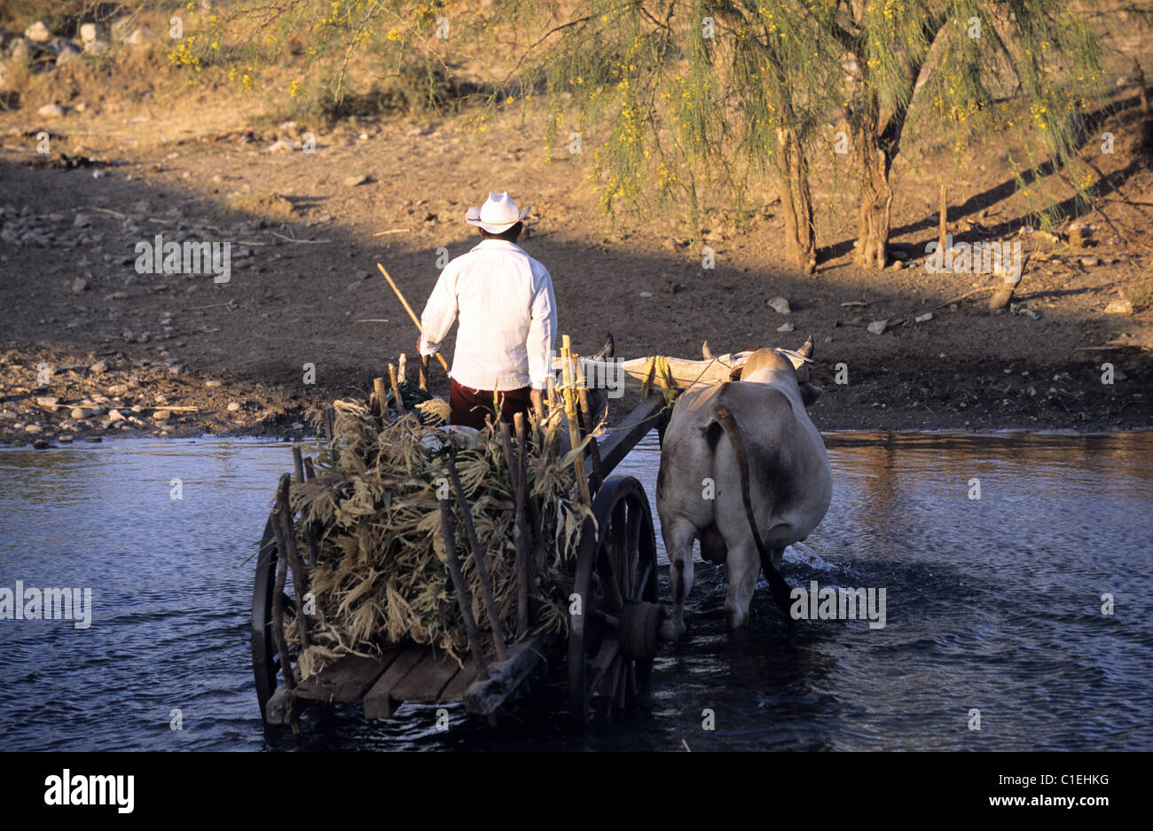 Carriage Crossing High Resolution Stock Photography and Images - Alamy