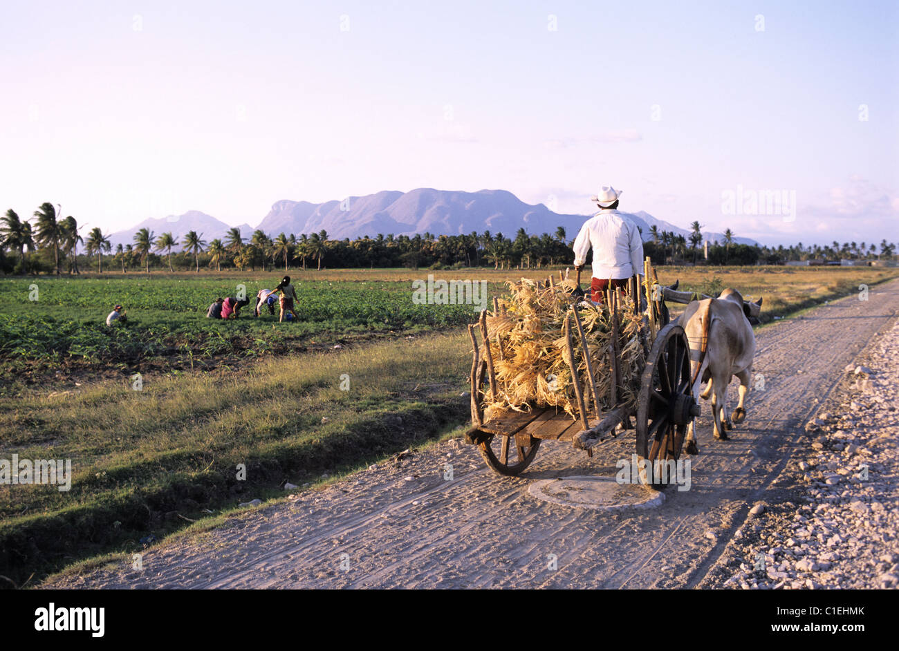 Mexico, Oaxaca State, Tehuantepec, peon on its crossing carriage of the ...