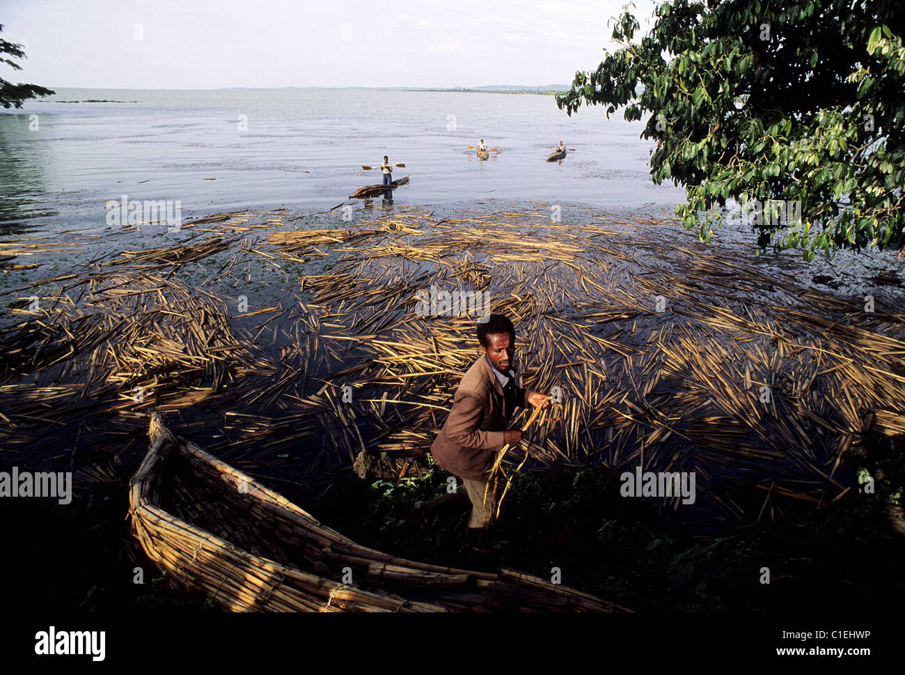 Gojam Stock Photos & Gojam Stock Images - Alamy