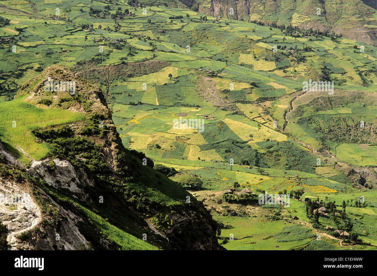 Ethiopia wollo region valley hi-res stock photography and images - Alamy