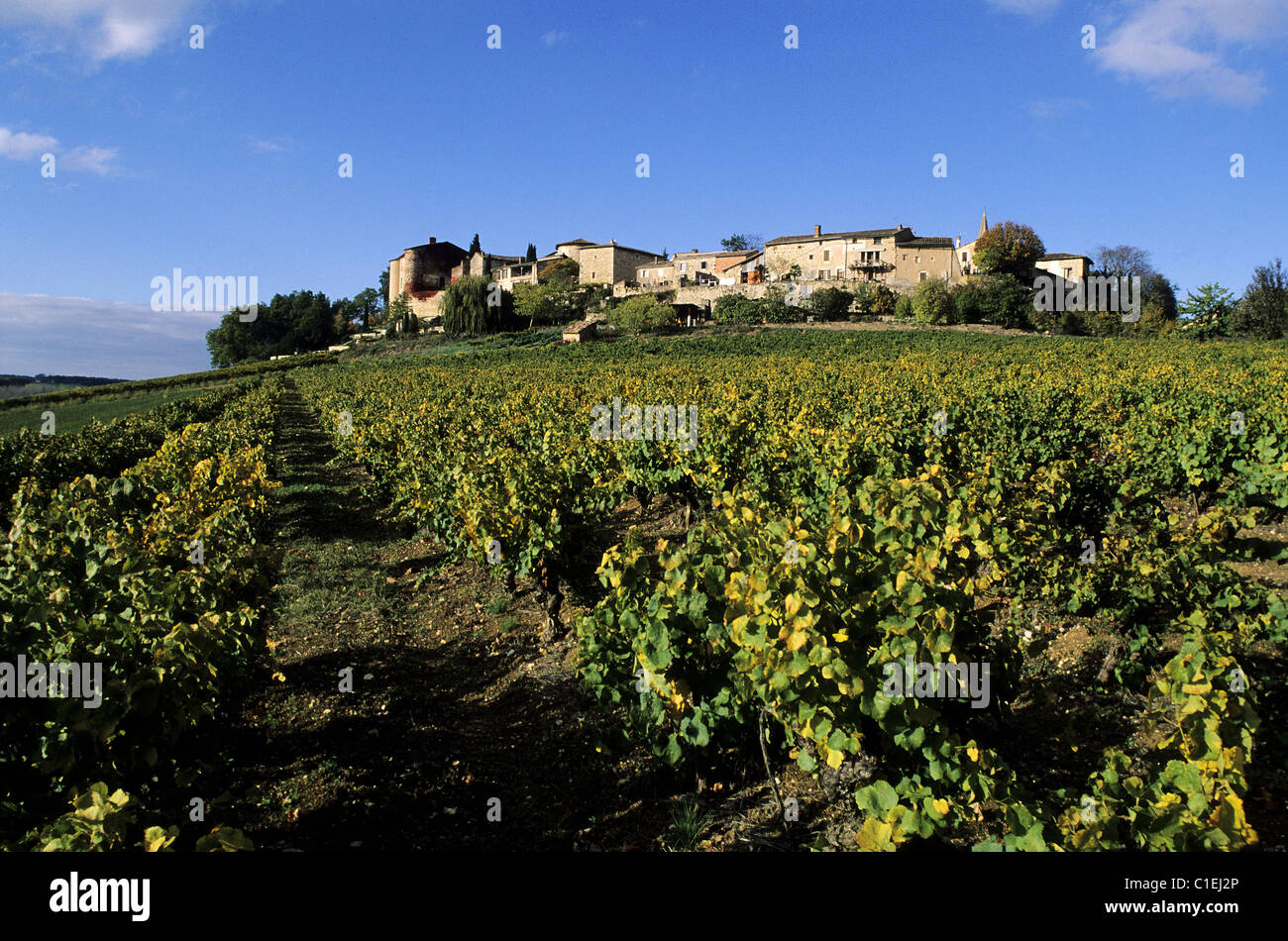 France, Tarn, castle and village of Mauriac Stock Photo - Alamy