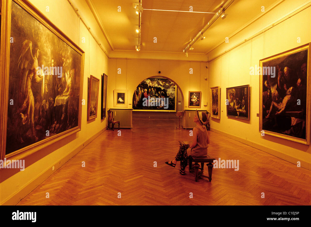 France, Tarn, Castres, Goya museum in the old town Stock Photo - Alamy