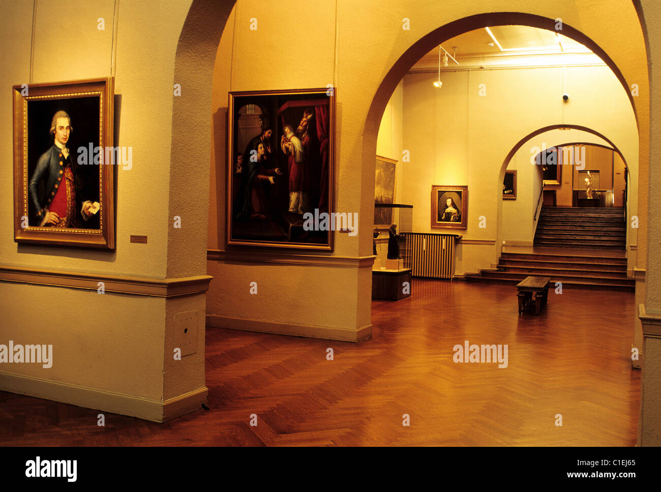 France, Tarn, Castres, Goya museum Stock Photo - Alamy