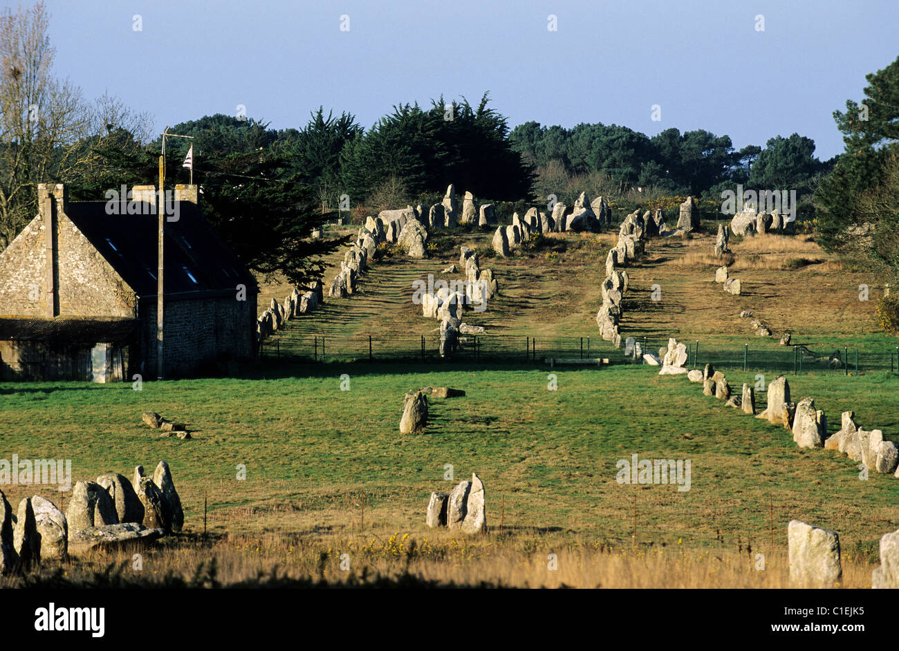 France, Morbihan, Megaliths of Carnac, Kermario 's alignments Stock ...