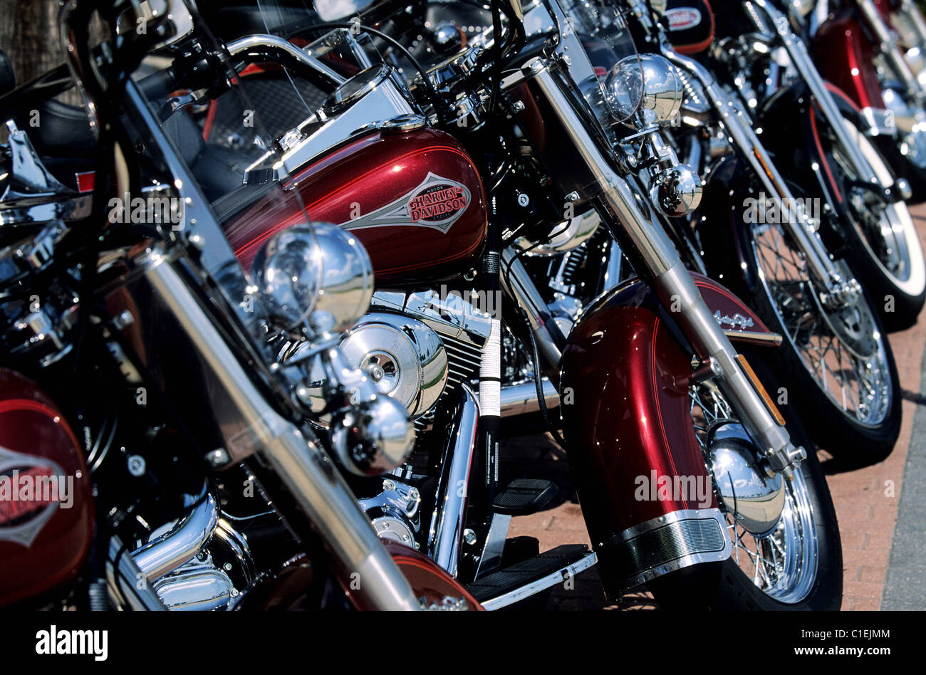 Harley Davidson Motorcycle Florida Usa High Resolution Stock ...