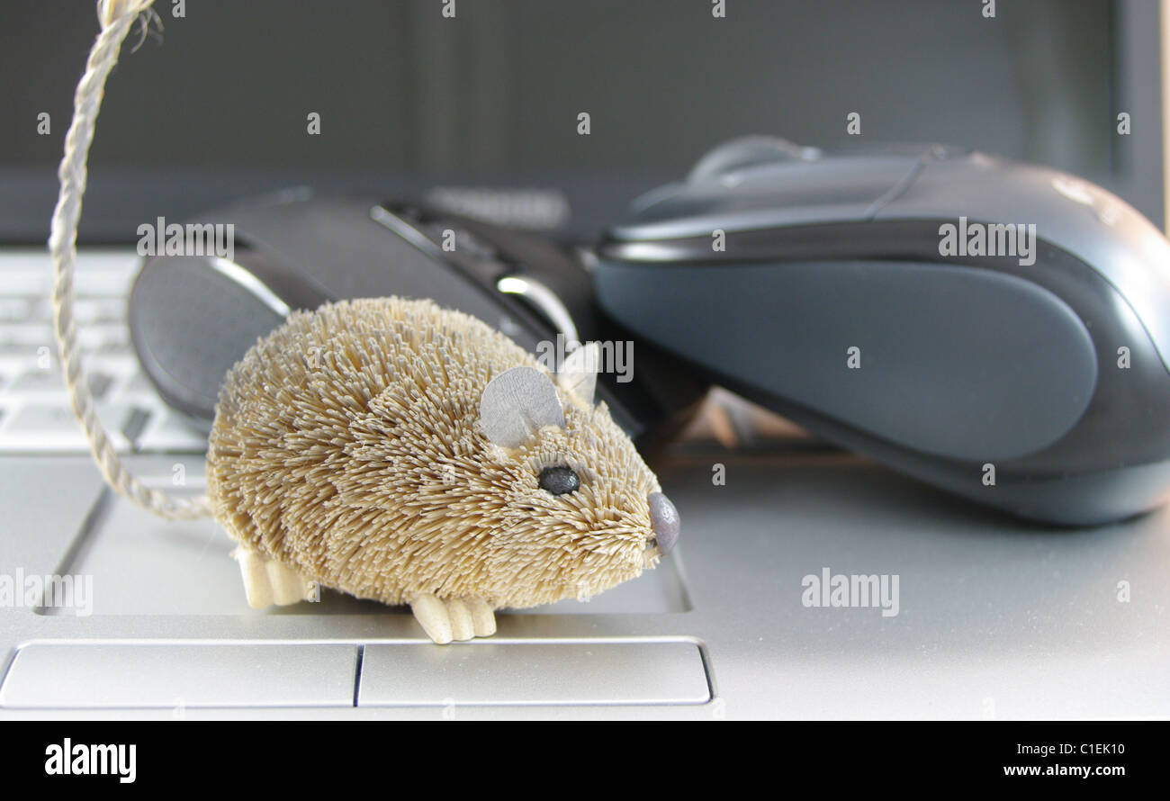 computer mouse and mouse sitting on laptop Stock Photo - Alamy