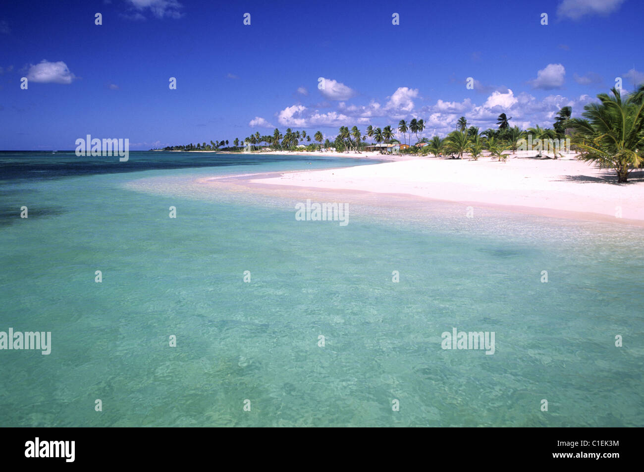 Dominican Republic, Saona Island, the beautiful beaches that make the ...