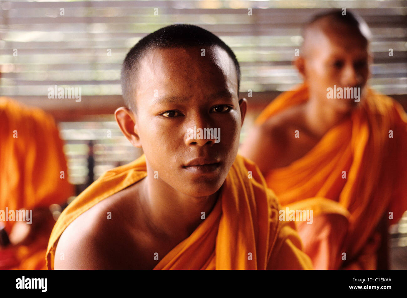 Cambodia, Phnom Penh, Bonze (word of japonese origin) applying to the ...