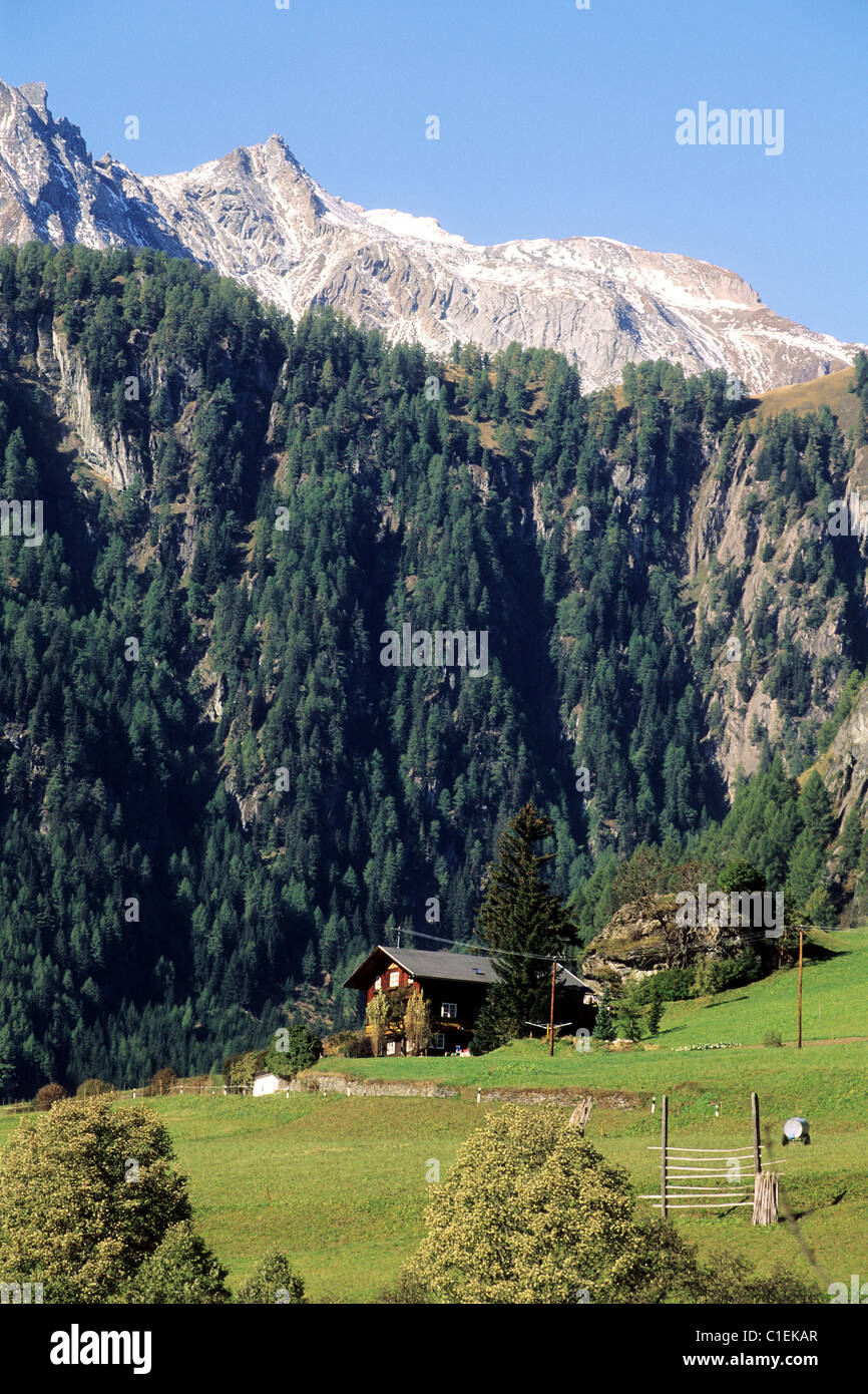 Austria, Upper Tyrol, valley in the Hohe Tauern national park Stock ...