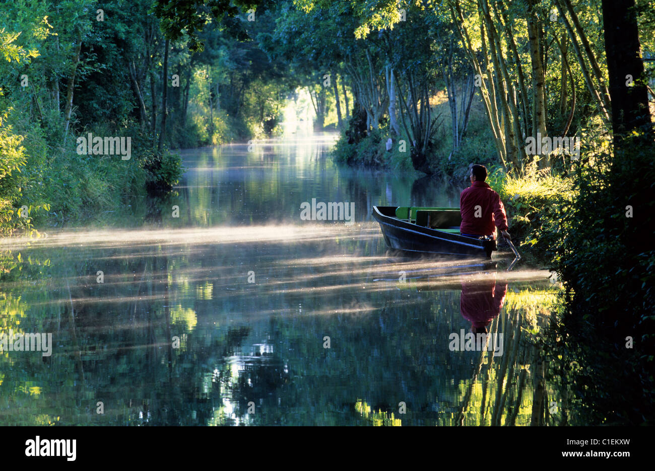 France, Deux Sevres, Marais Poitevin (Poitevin Marsh), Venise Verte ...