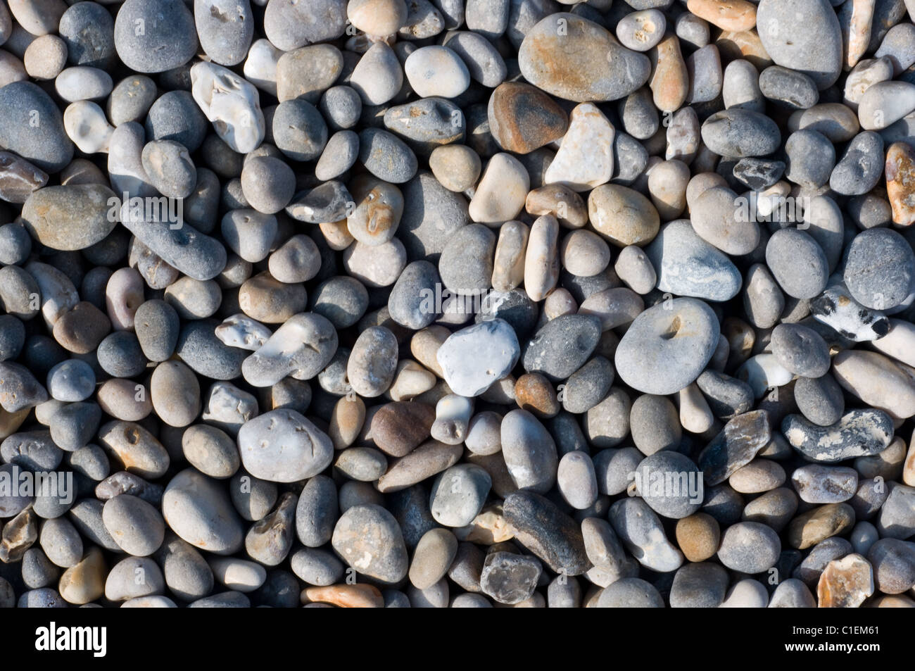 Pebbles and stones on the beach at Beer in Devon, England, UK Stock ...