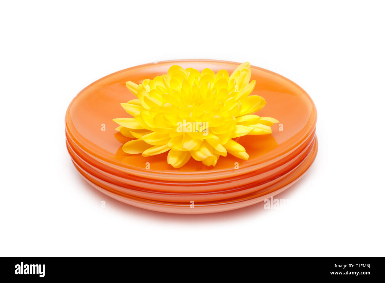 Orange plates by pile, yellow flower on them, on white background Stock ...