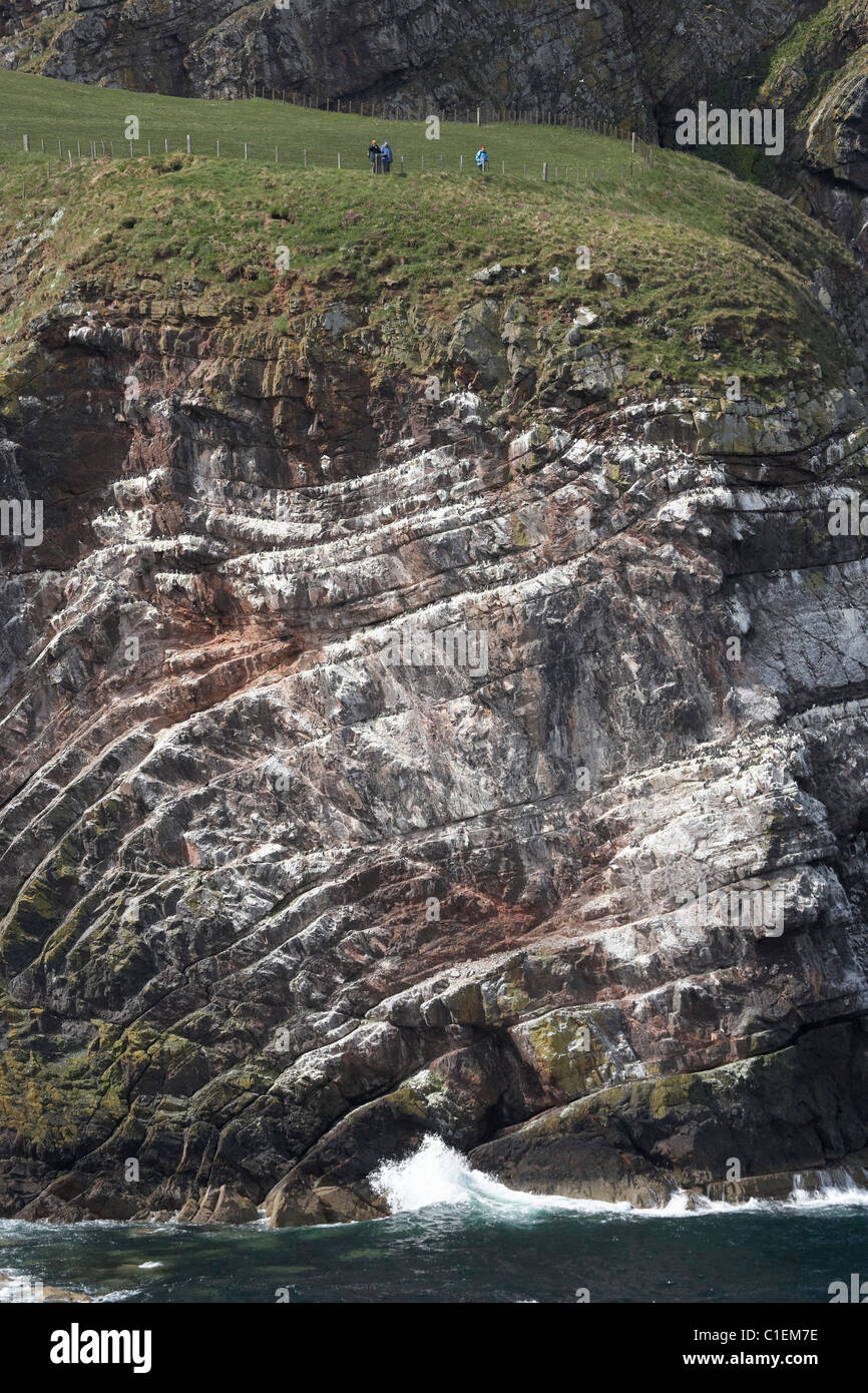Cliffs with tilted rock layers, Pettico Wick, St Abb's Head ...