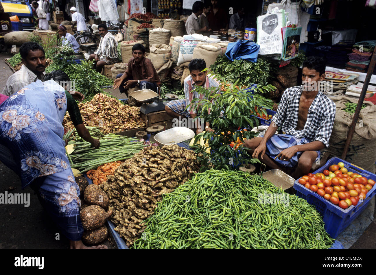 India, Kerala, Cochin's market Stock Photo - Alamy