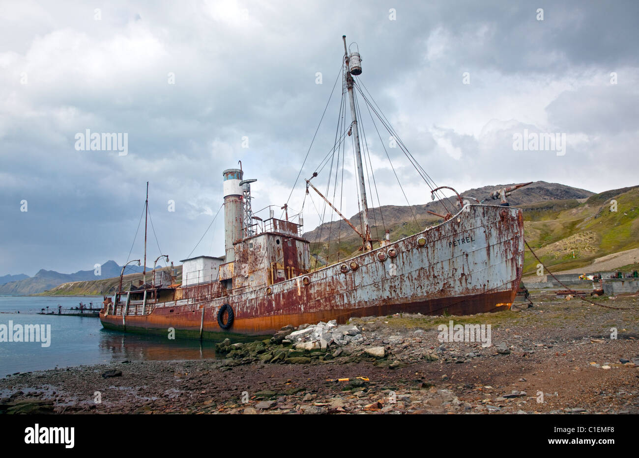 Shipwreck of the Petrel at Grytviken Harbour, South Georgia Stock Photo ...