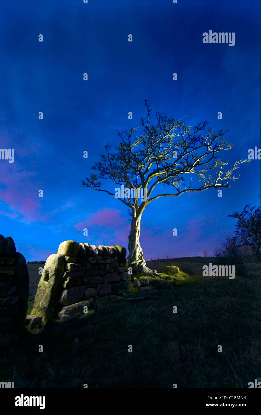 Dry stone wall sunset hi-res stock photography and images - Alamy