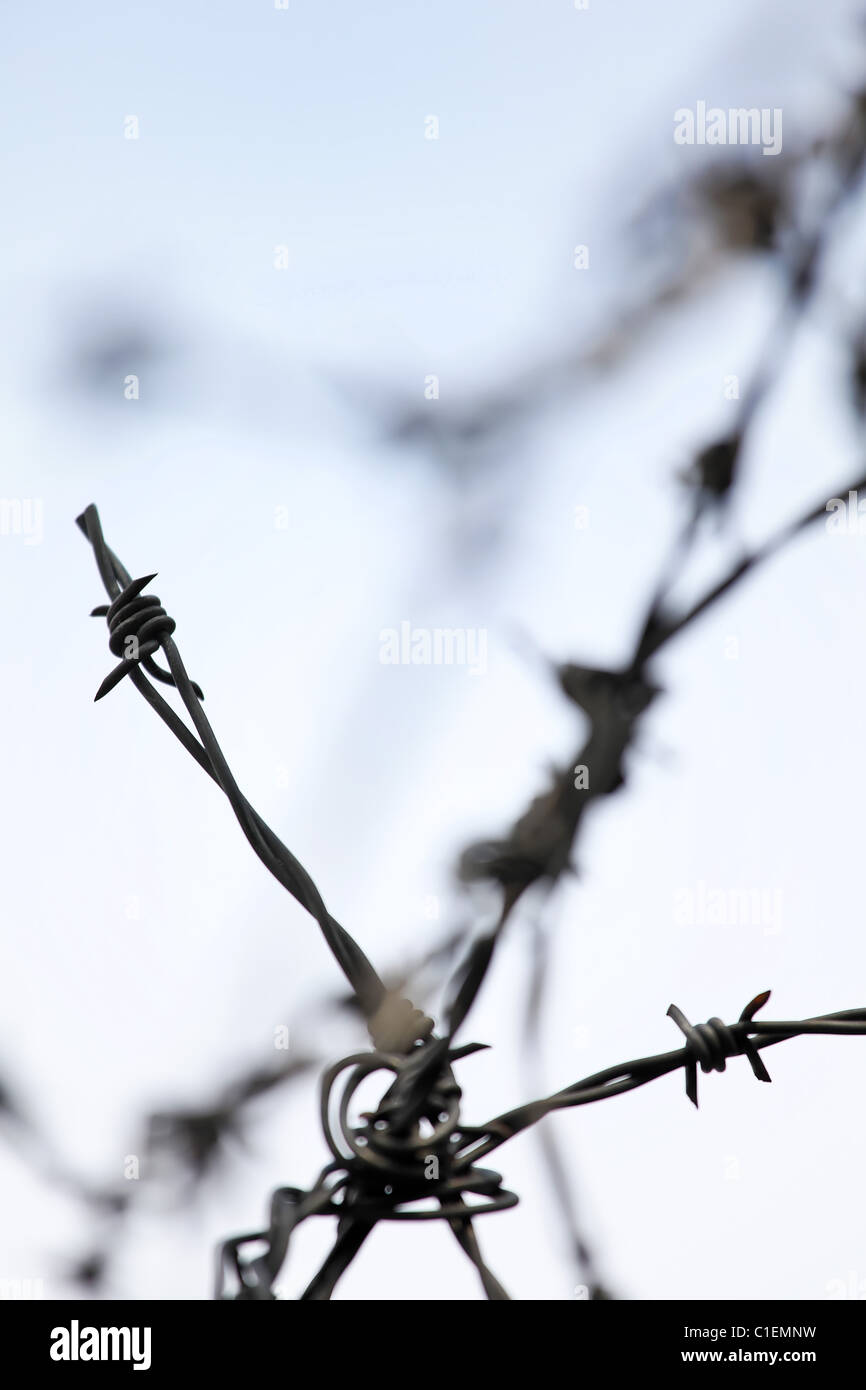 Barbed wire on a fence Stock Photo - Alamy