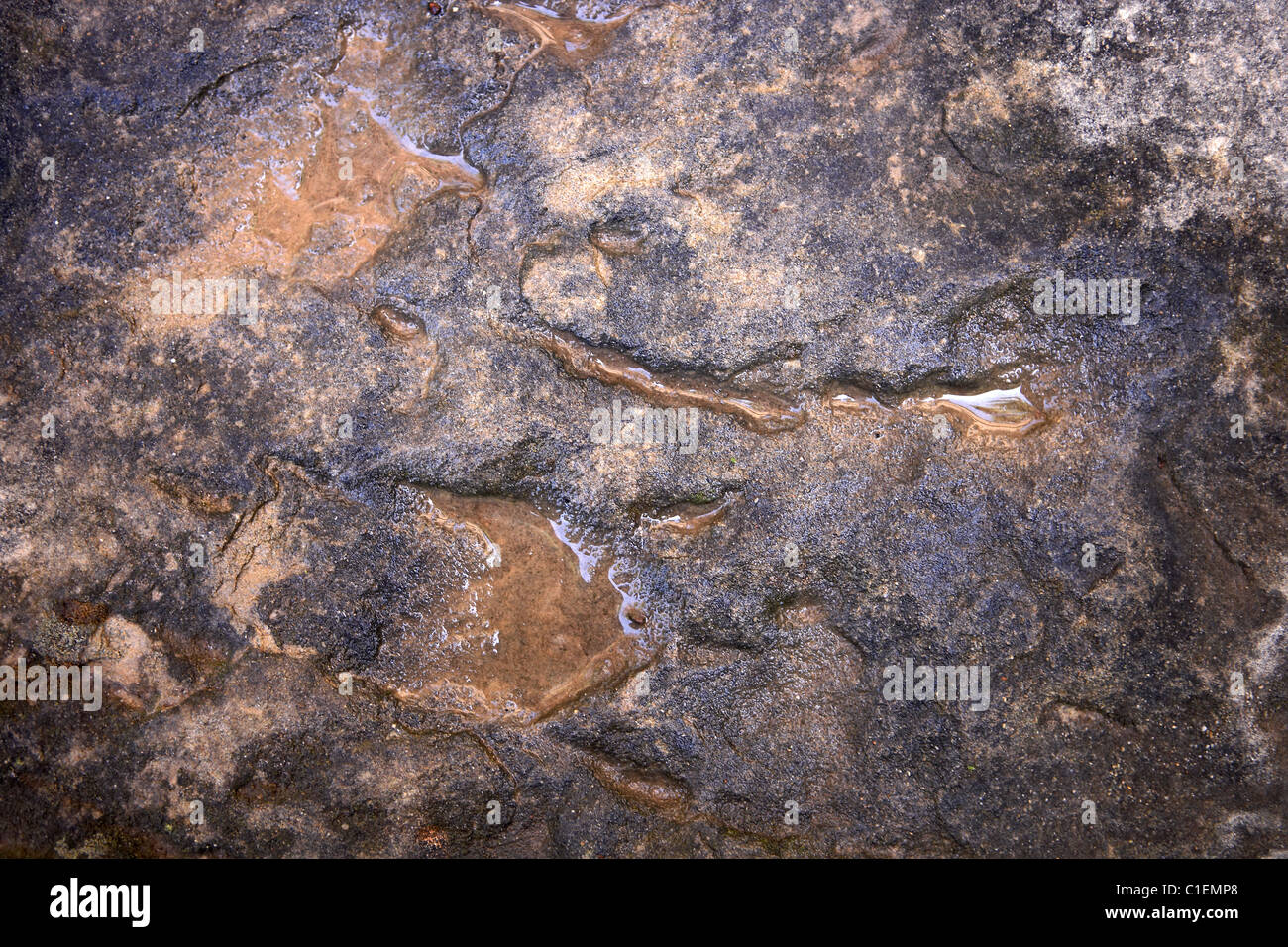 Puddle on the Ground Stock Photo - Alamy