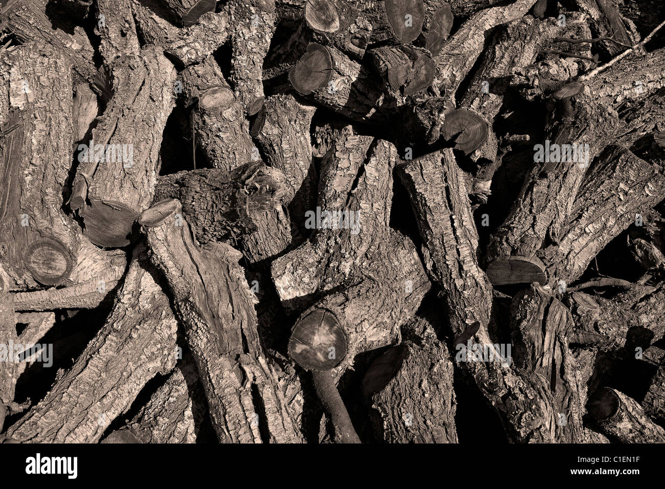 Wood from trees Stock Photo - Alamy