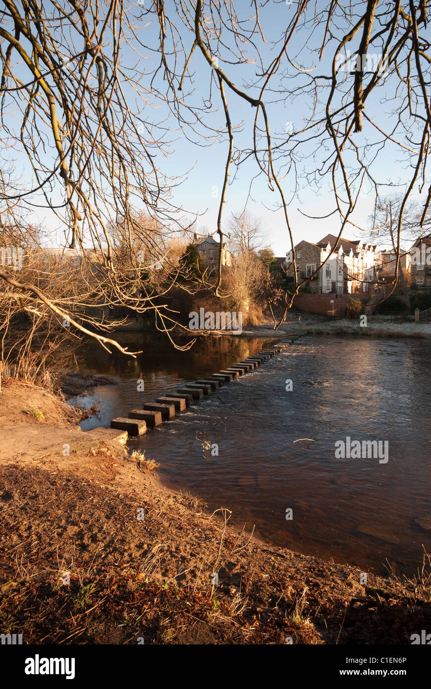 Morpeth castle hi-res stock photography and images - Alamy