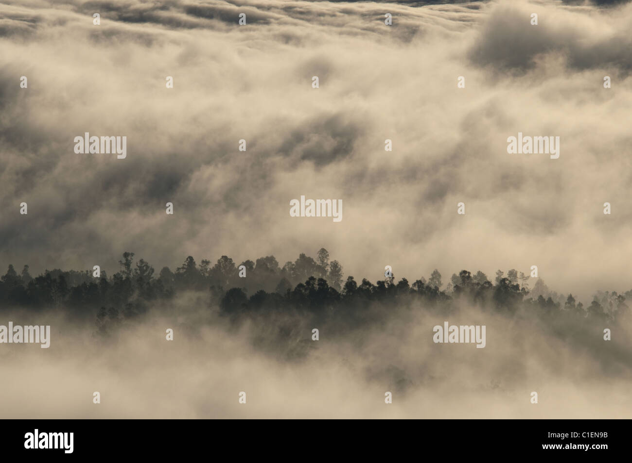The sea of fog hi-res stock photography and images - Alamy