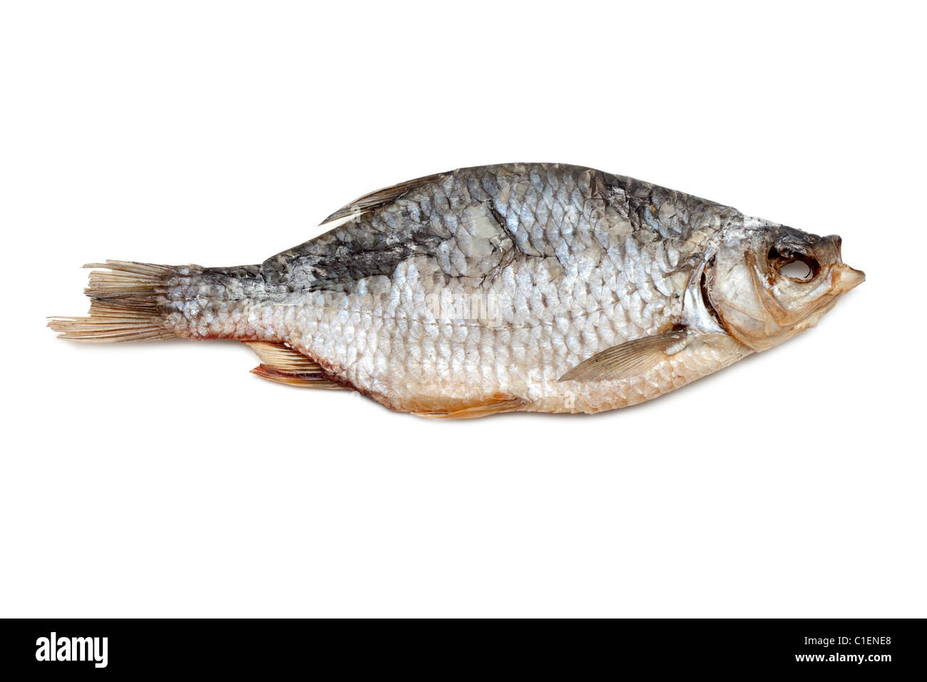 Dried fish, roech insulated on white background Stock Photo - Alamy