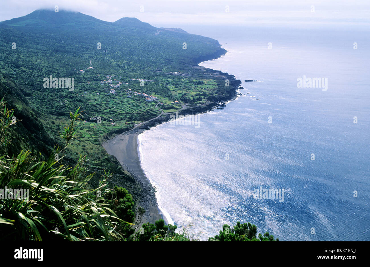 Portugal, the Azores, North coast, Faial Stock Photo - Alamy