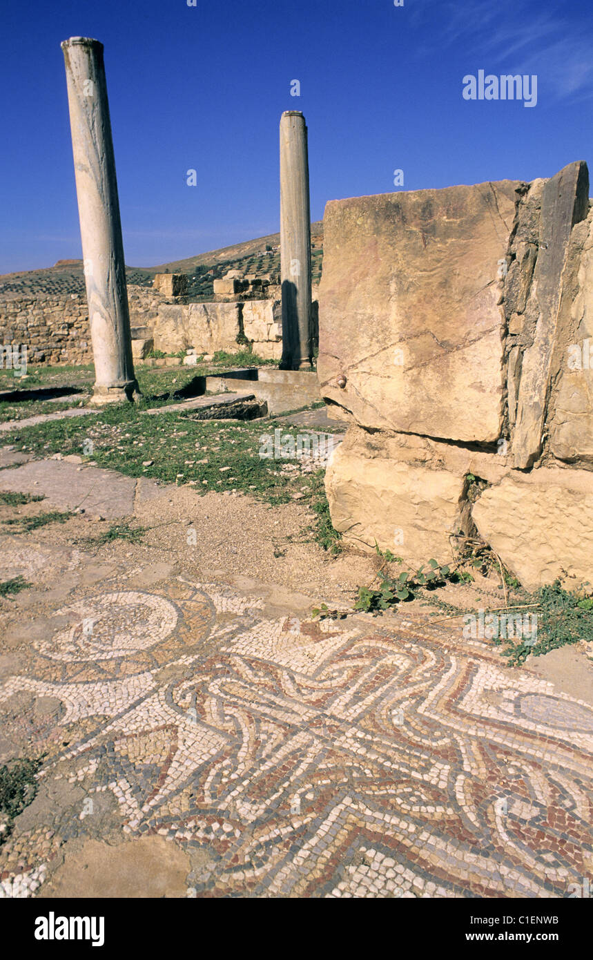 Tunisia, northern region Stock Photo - Alamy