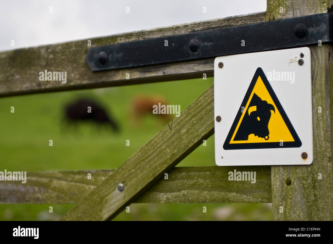Beware cattle sign hi-res stock photography and images - Alamy
