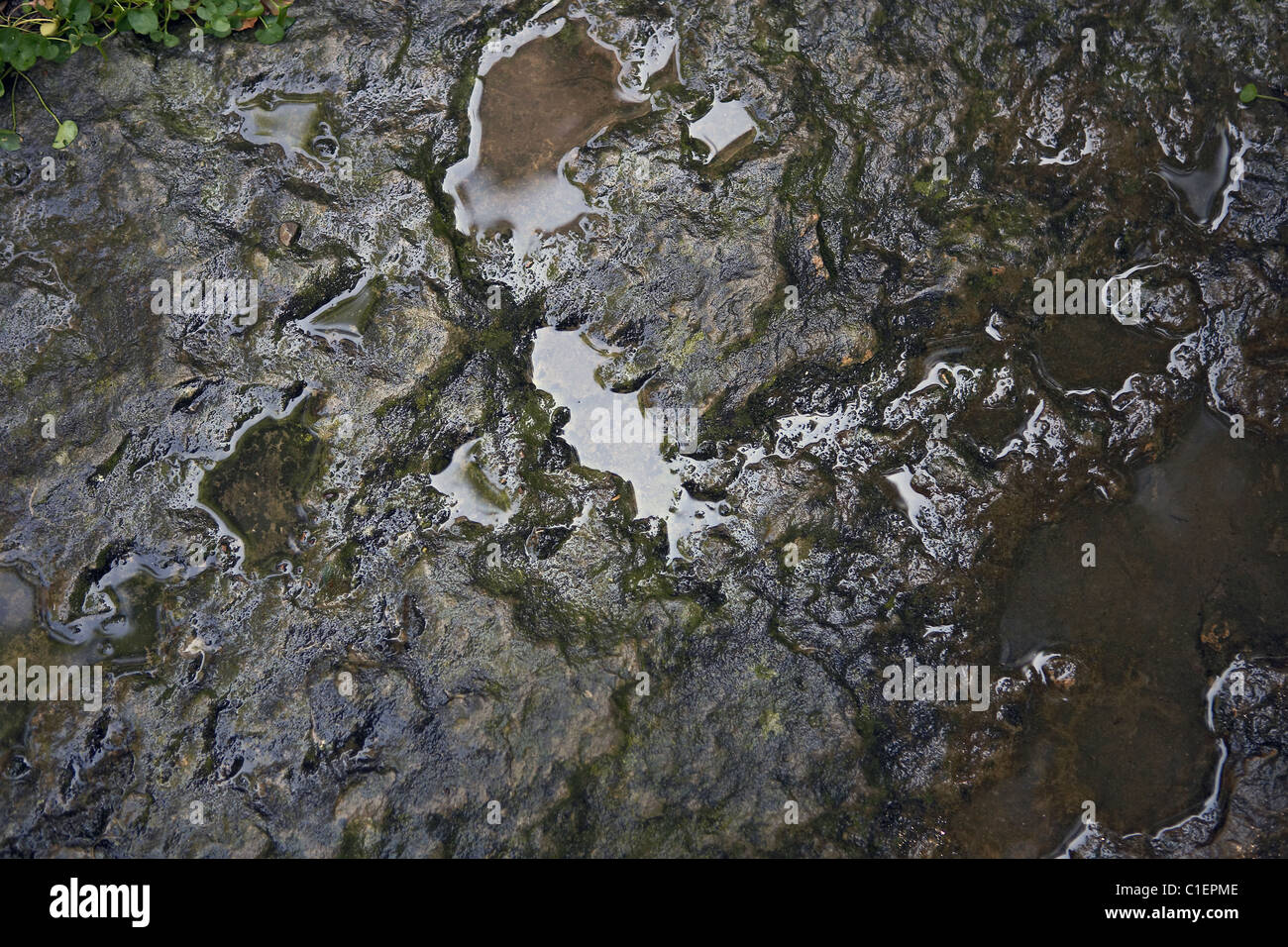 Puddles on the ground hi-res stock photography and images - Alamy