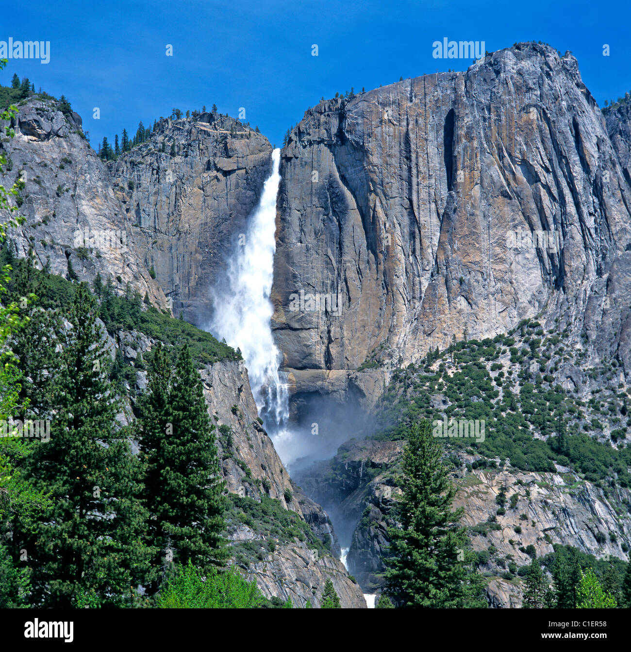 The Yosemite Falls from the Merced Valley in the National Park Stock ...