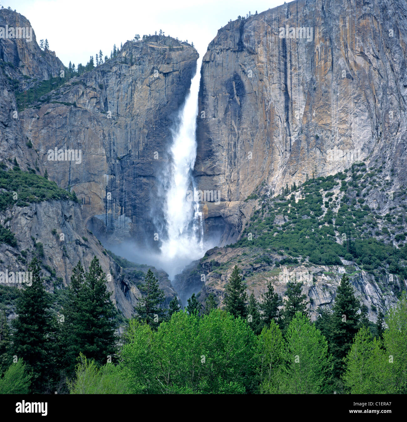 The Yosemite Falls from the Merced Valley in the National Park Stock ...