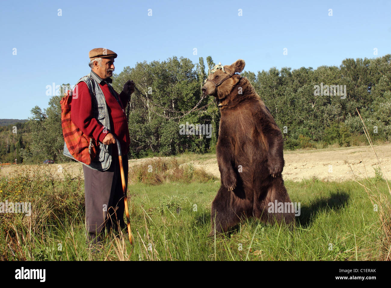 Bulgaria, bear leader towards Varna city Stock Photo - Alamy
