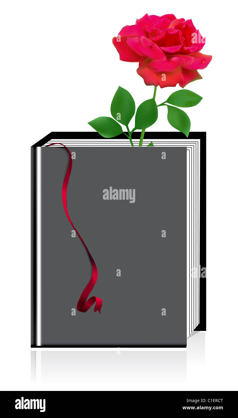 Red rose in the book isolated on white. Vector illustration Stock Photo ...