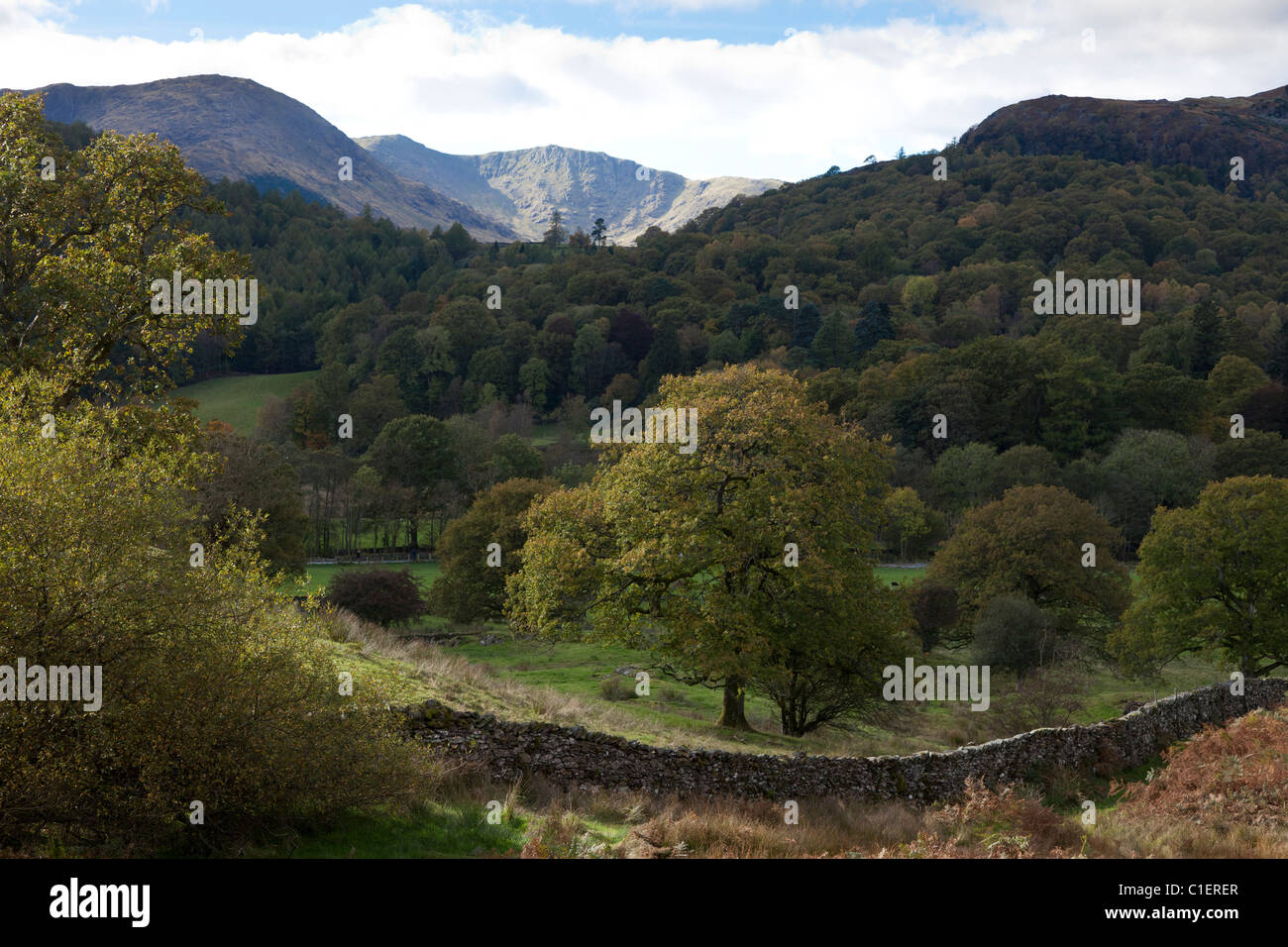 Lingmoor fell hi-res stock photography and images - Alamy